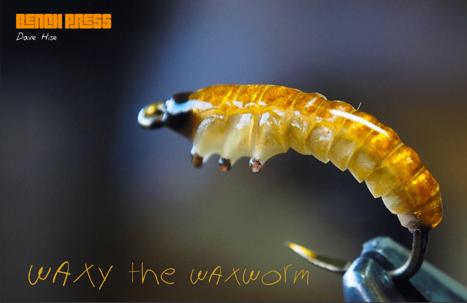 Waxy the Waxworm — SCOF — Southern Culture On The Fly